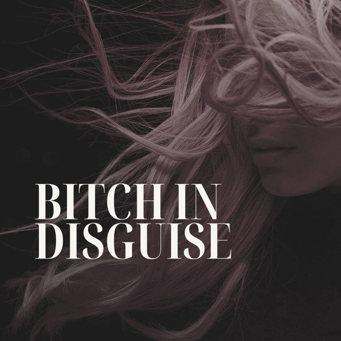 Bitch In Disguise by Ben Konarov: Review | Illustrate Magazine