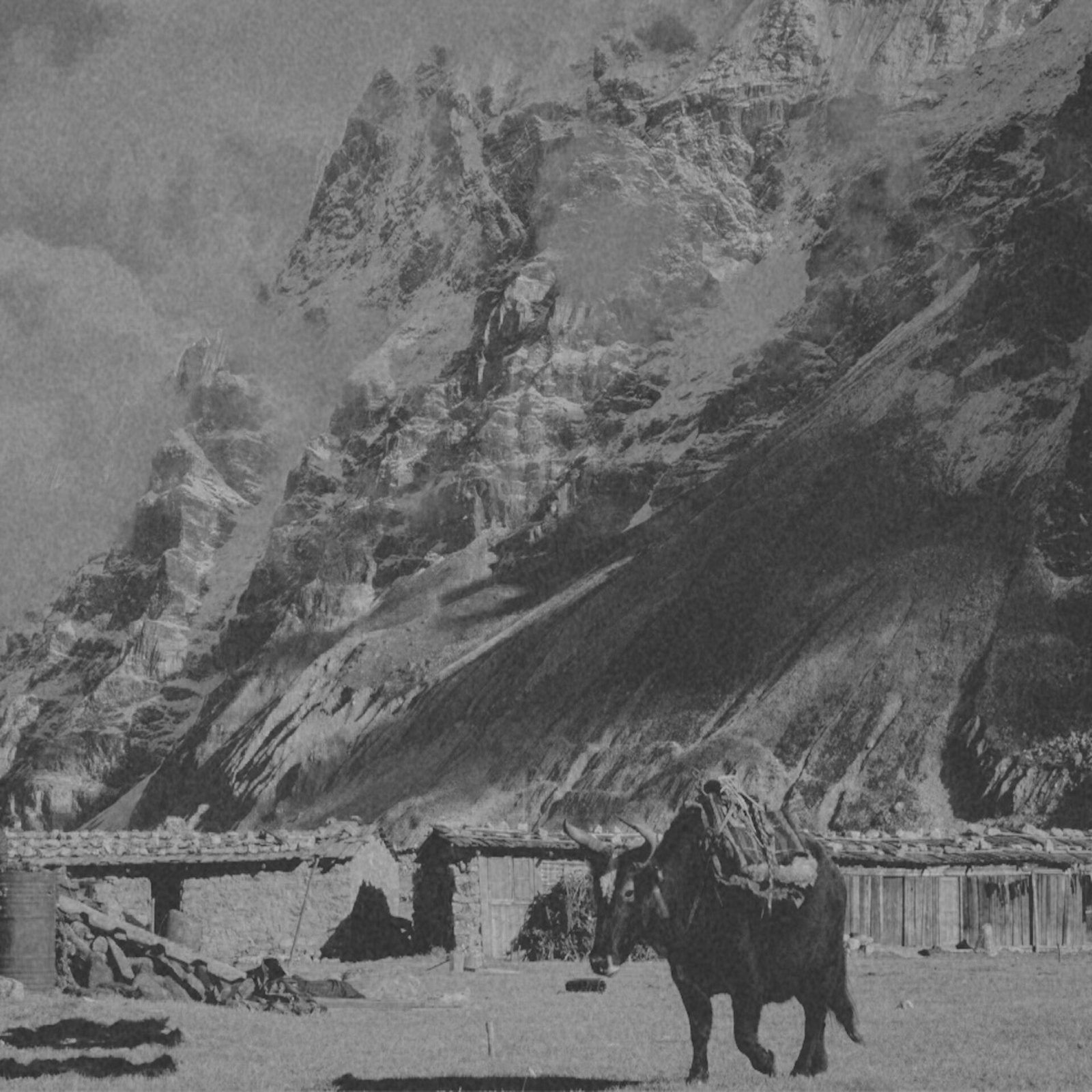 NOMAD by Idle Moon: Album Review | Illustrate Magazine