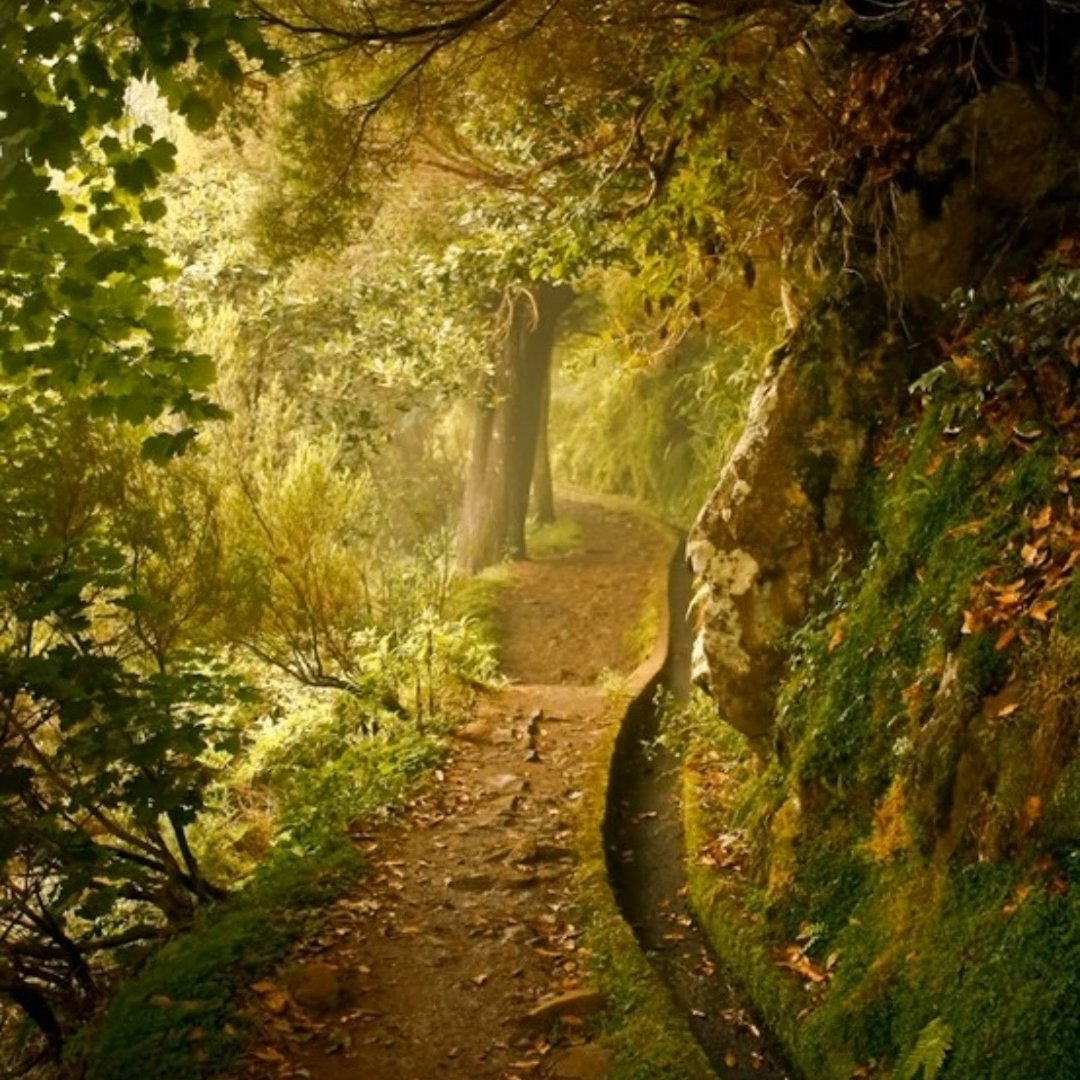 The Higher Road by Garland Kelley: Review | Illustrate Magazine