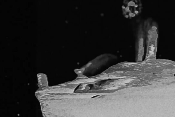 "Devstacks Drops Inspirational 'Praise God' Song: A Spiritual Anthem ...