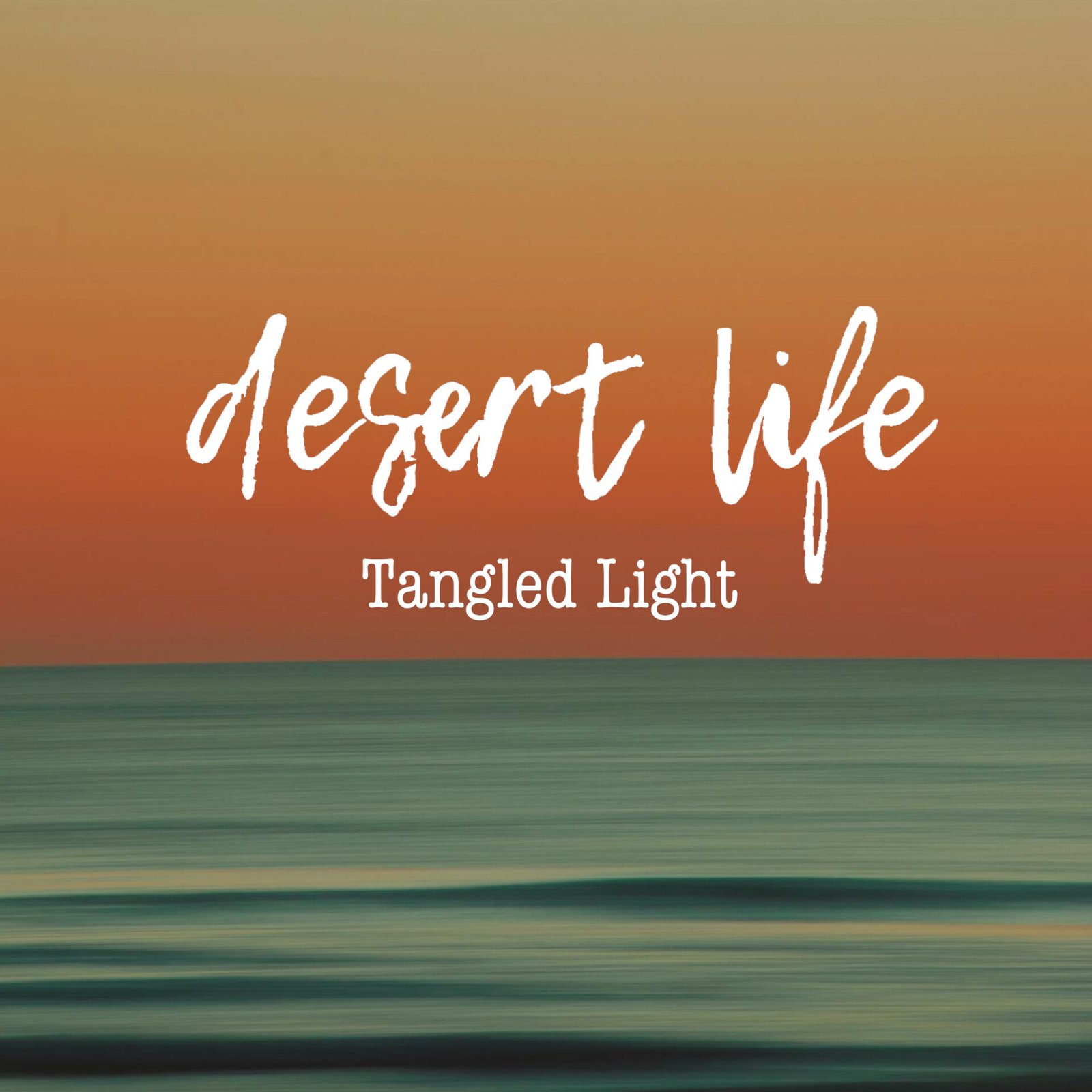 Tangled Light by DESERT LIFE: Review | Illustrate Magazine