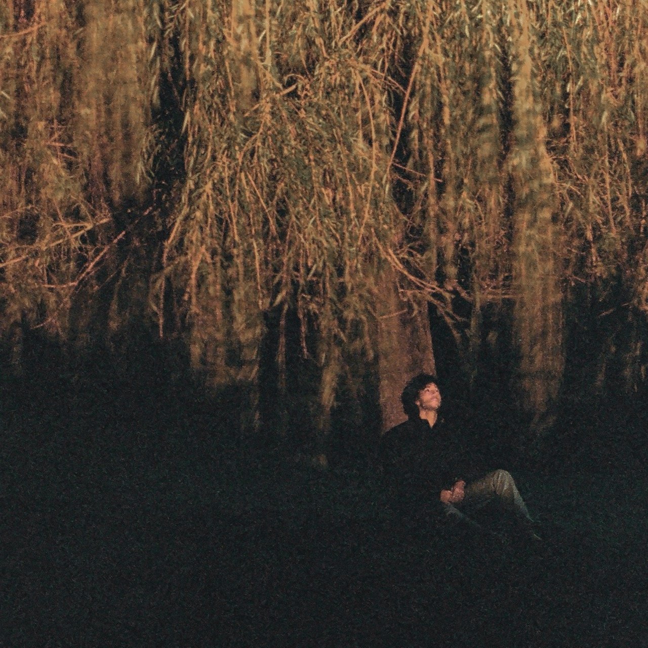 The Man After Dark by SHILOH, FOREVER: Review | Illustrate Magazine