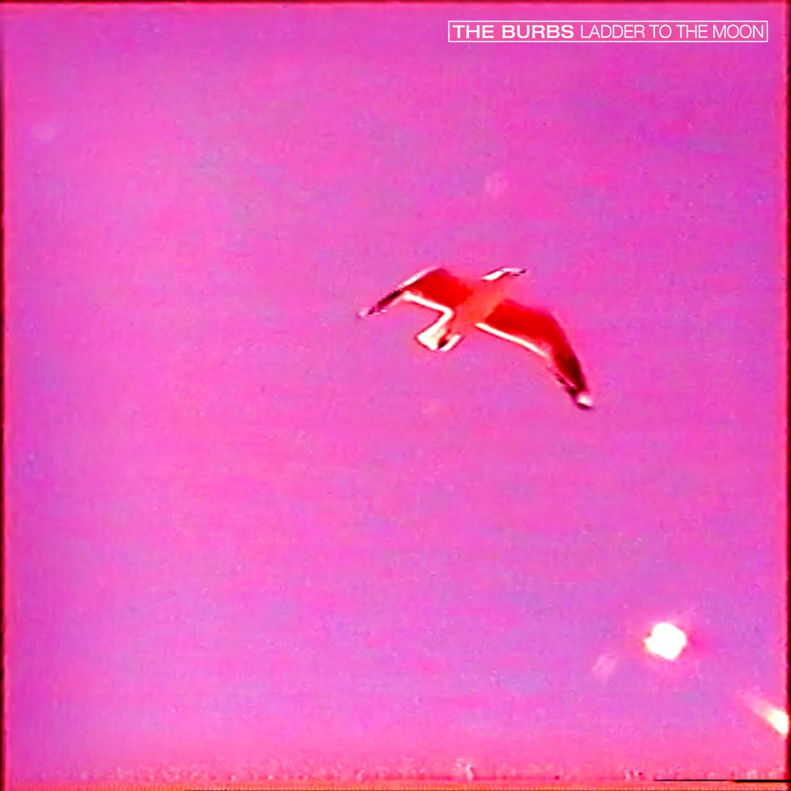 Exclusive Interview with THE BURBS | Illustrate Magazine