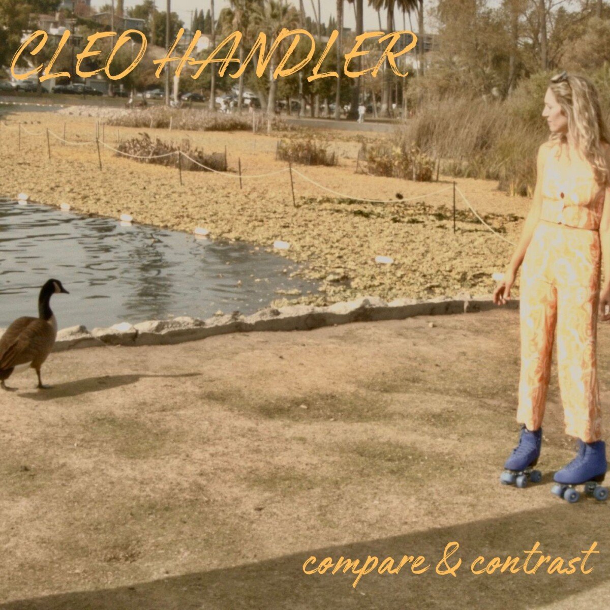 compare & contrast by Cleo Handler: Album Review | Illustrate Magazine