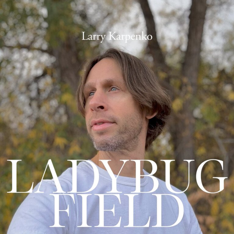 Ladybug Field by Larry Karpenko: Review | Illustrate Magazine